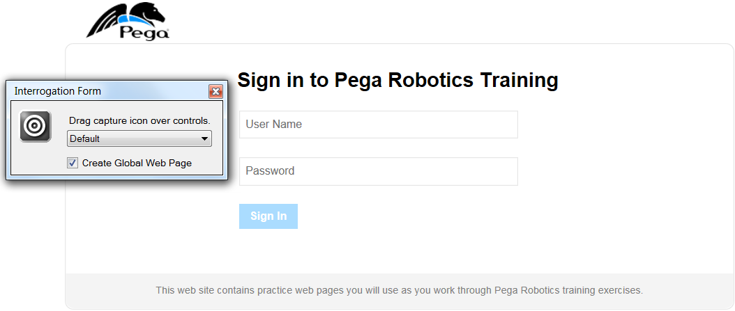 Interrogating a Web Application